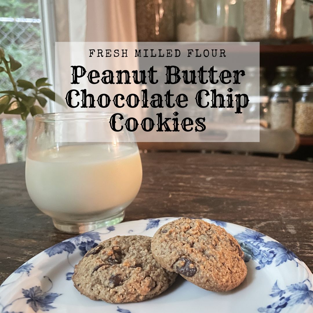 Peanut Butter Chocolate Chip Cookies with Fresh Milled Flour | Home ...